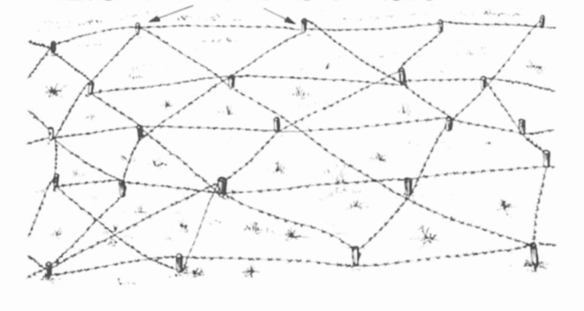 Barbed Wire and Concertina Tape - Think Defence