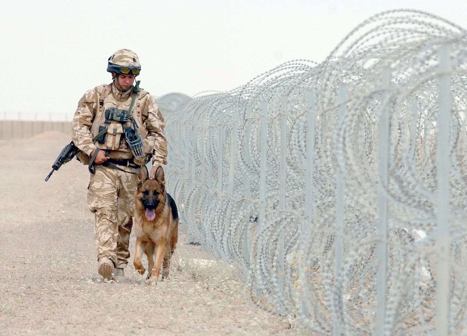 Barbed Wire and Concertina Tape - Think Defence